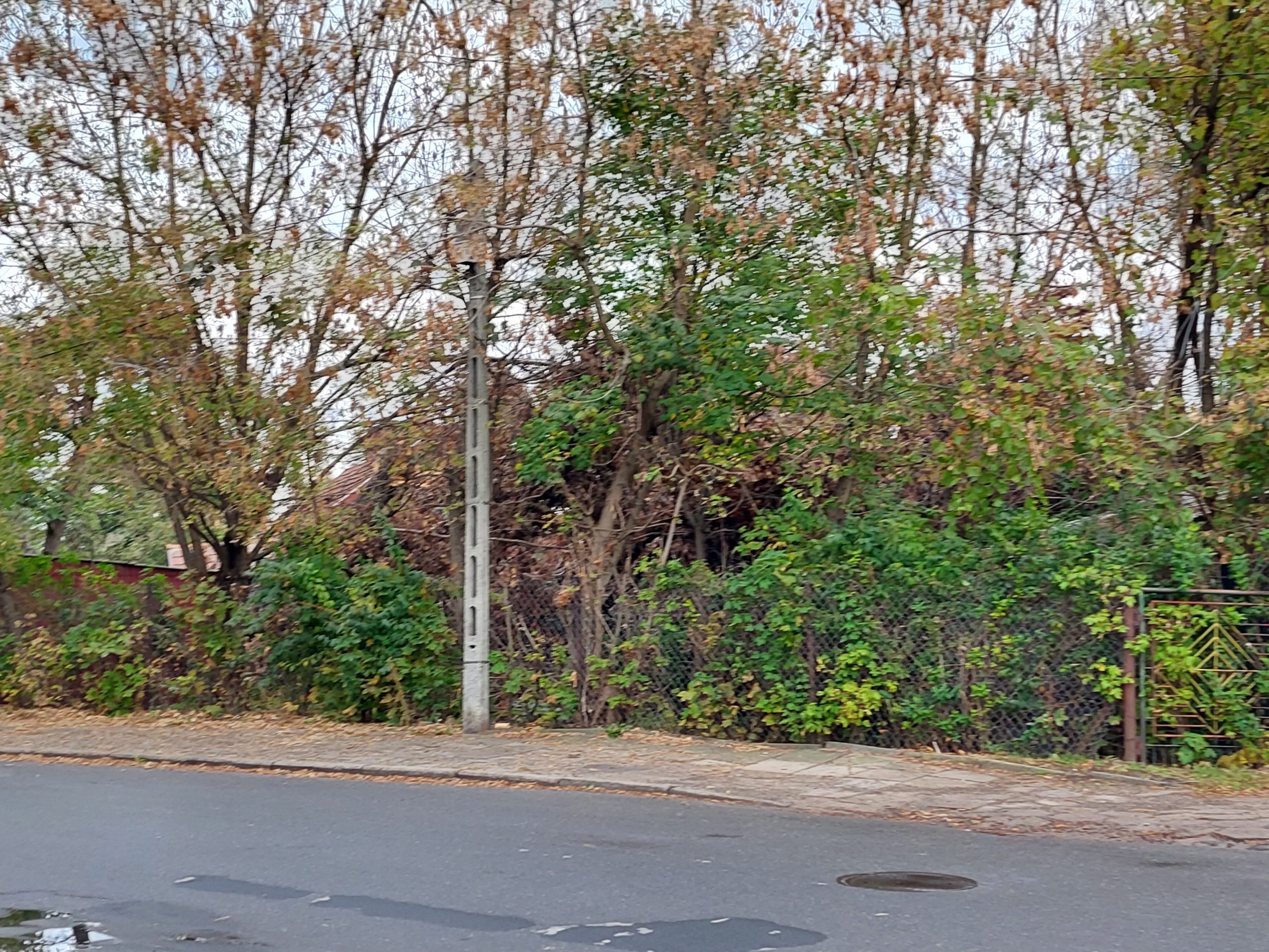 Tu kiedyś mieszkał Samuel Horowitz, przedwojenny rabin Dębicy - Stara ...